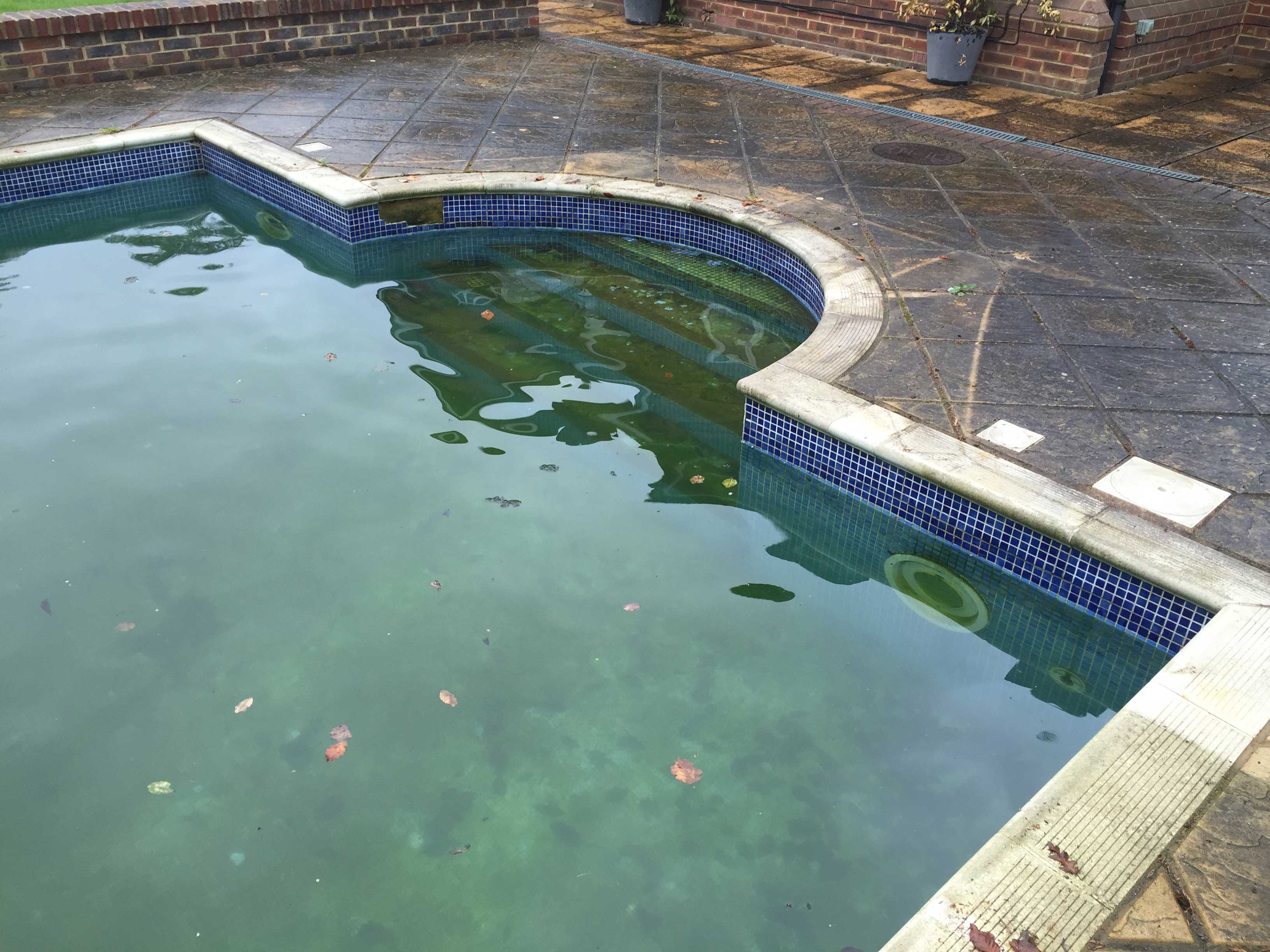 Opulent Pools | Luxury Swimming Pool Builders | Oxshott, Surrey